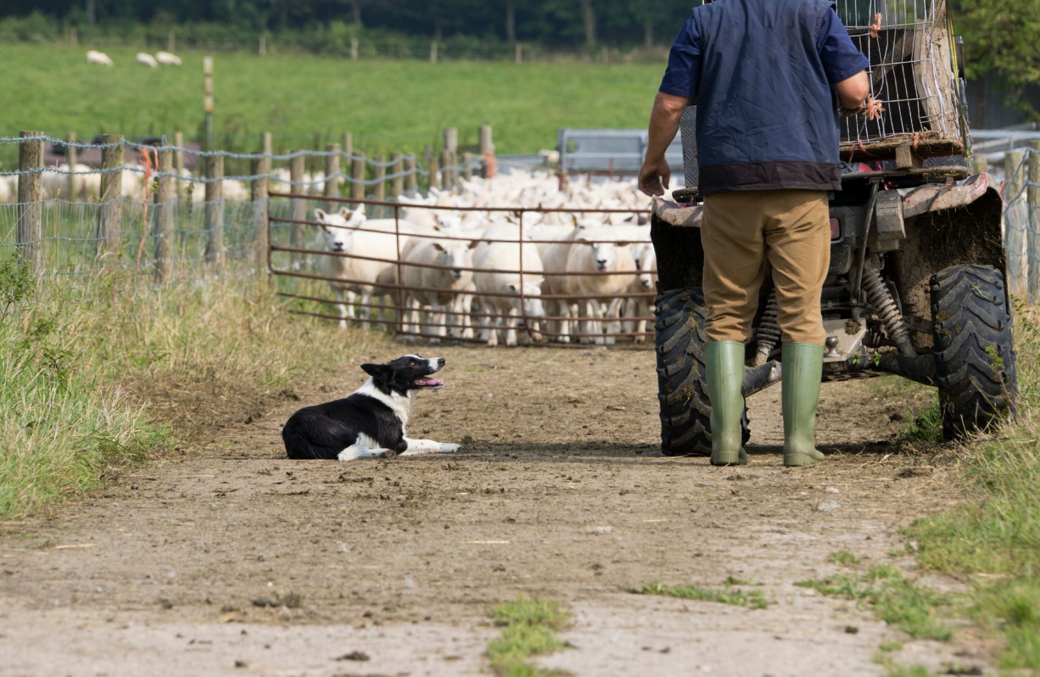 Fatal Injuries On Farms - HSE’s Latest Report Says Farm Industry Death ...