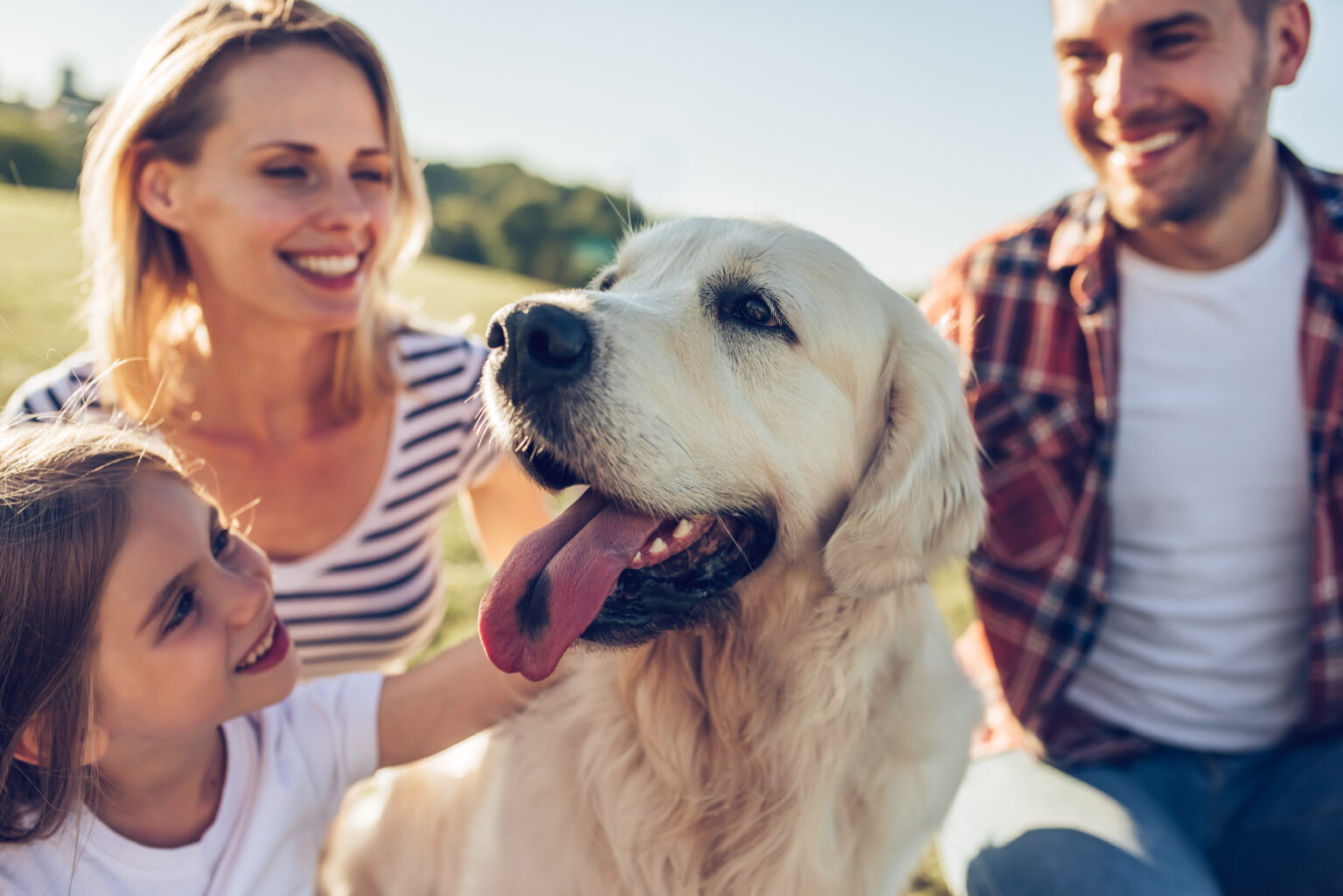Pet Ownership: What Happens to the Family Pet Upon Separation or ...